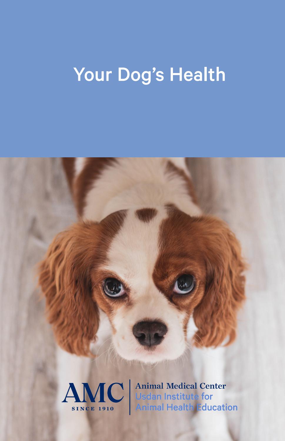 Your Dog's Health Booklet by AMCNY - Issuu