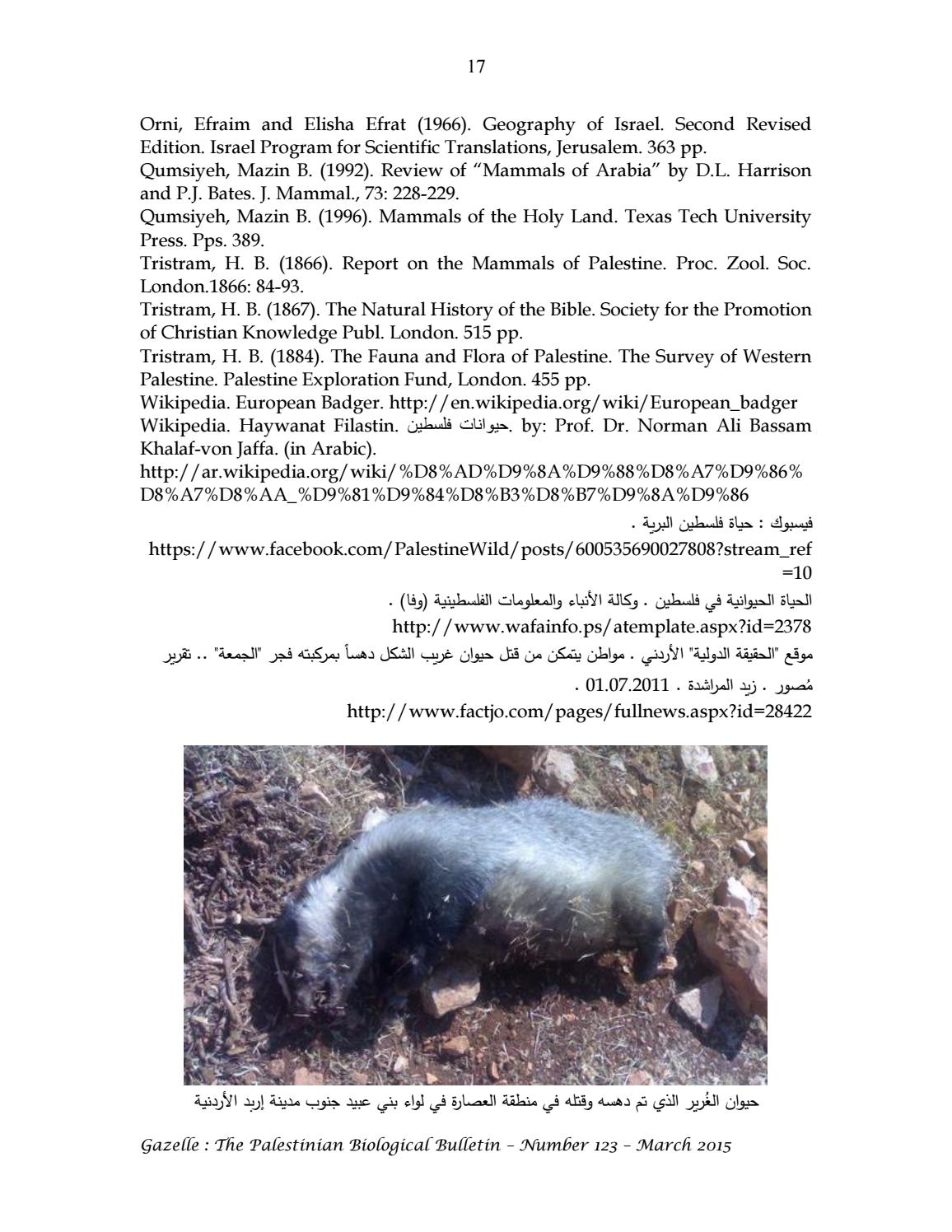 The Persian Badger (Meles meles canescens Blanford, 1875) in Palestine ...