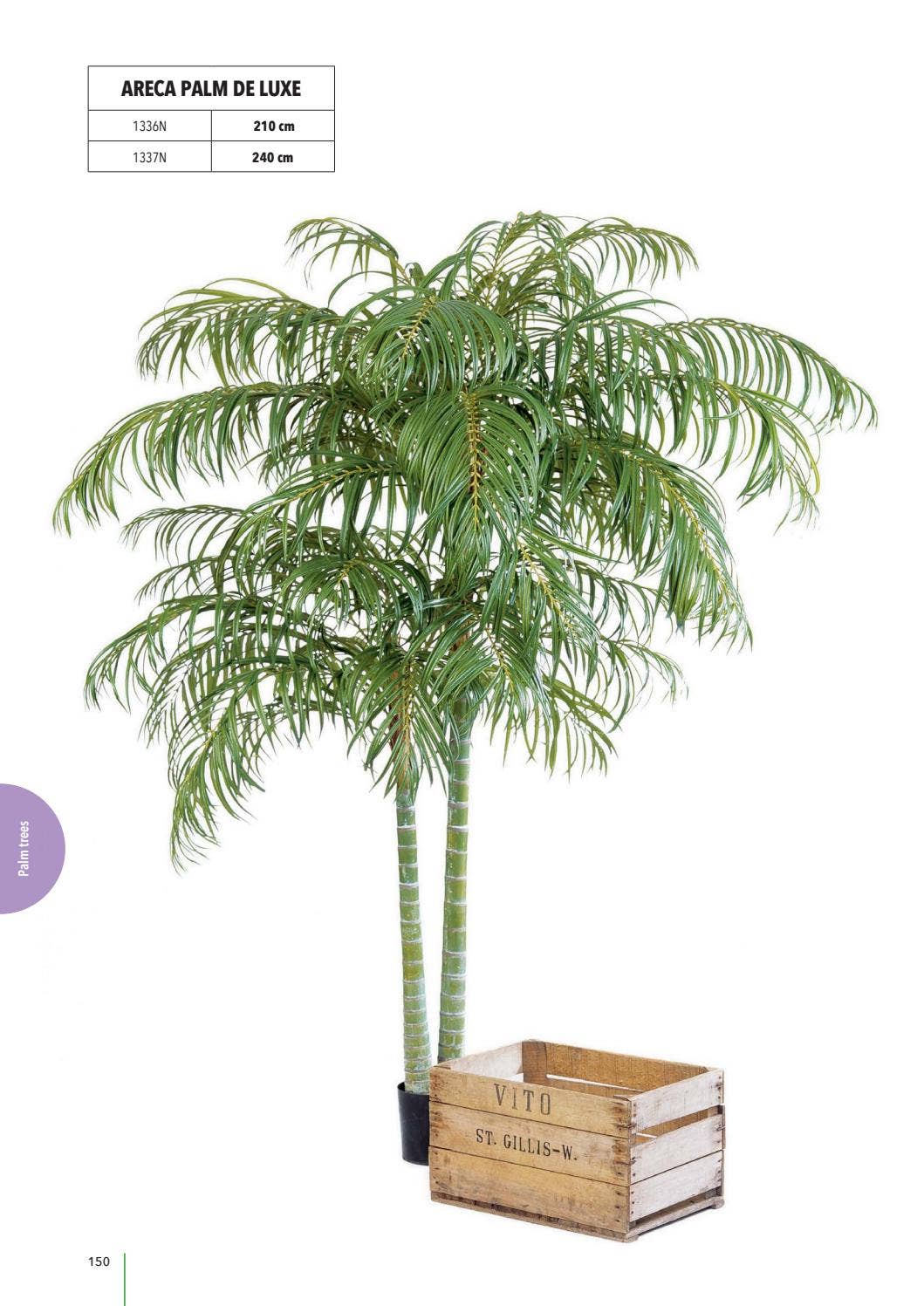 Flora World brochure 2021 by servico3 - Issuu