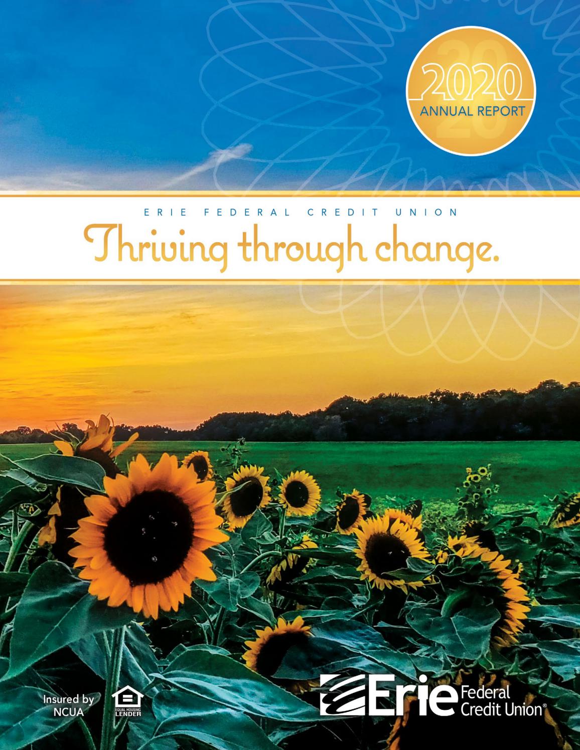 2020 Erie FCU Annual Report By Erie FCU Issuu 2020-erie-fcu-annual-report-by-erie-fcu-issuu