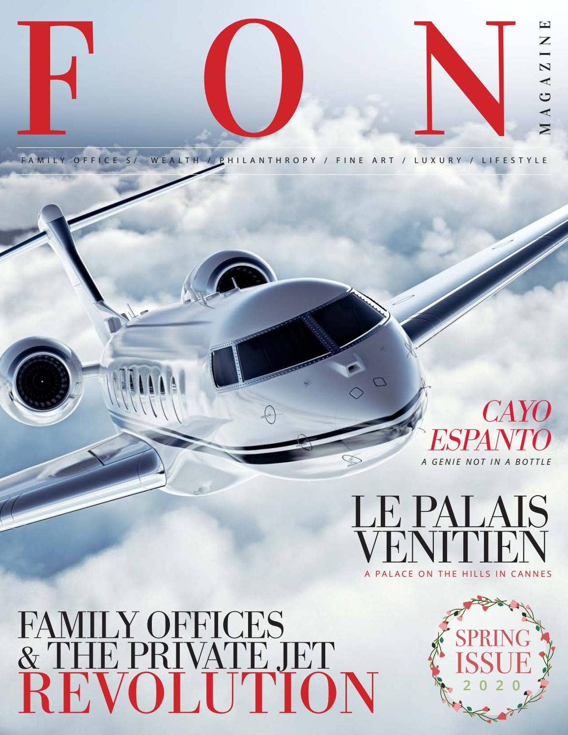 FON Magazine - Spring Issue - 2020 by Family Office Networks Magazine ...