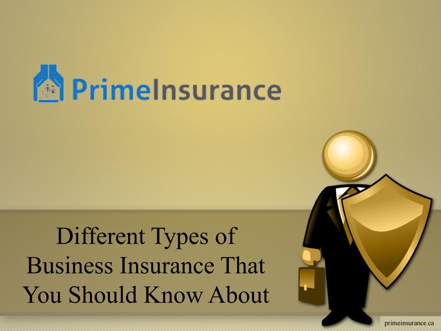 Different Types of Business Insurance That You Should Know About by ...
