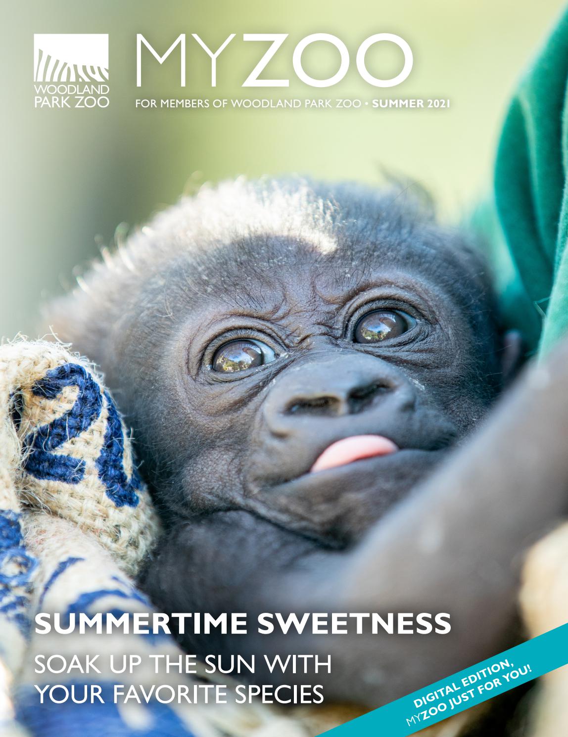 MyZoo Summer 2021 by Woodland Park Zoo - Issuu