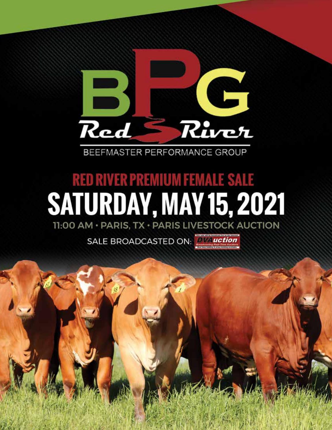 2021 Red River Premium Female Sale - Hosted By Beefmasters Performance ...