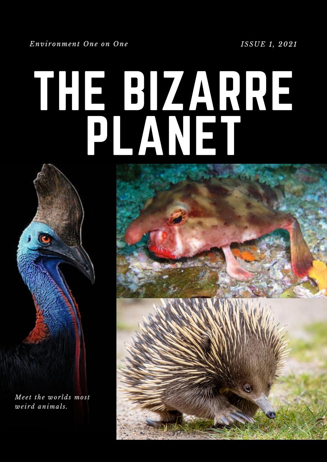 The bizarre planet by FelixKioko - Issuu