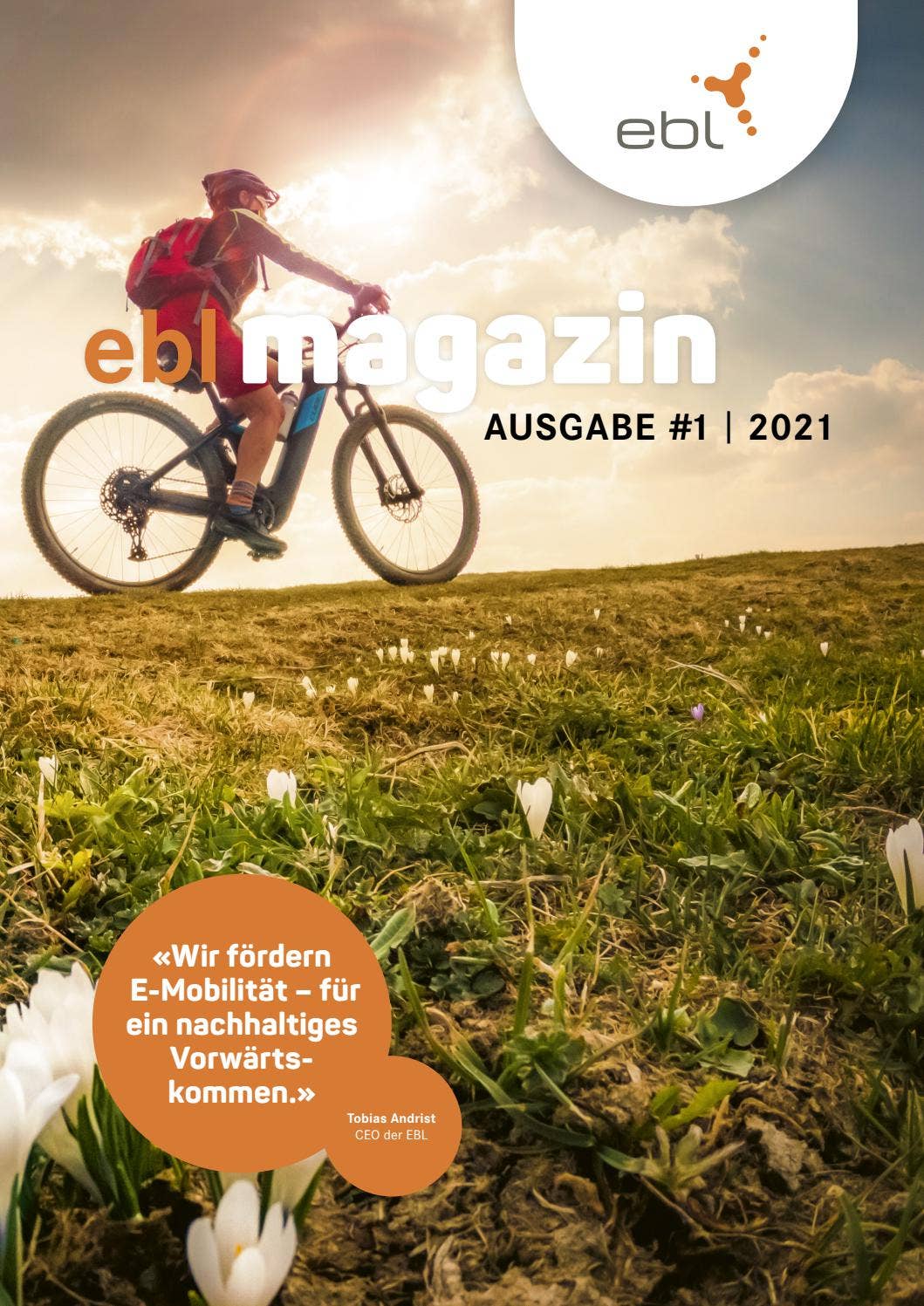 EBL Magazin BL 01/2021 by EBL (Genossenschaft Elektra Baselland) - Issuu