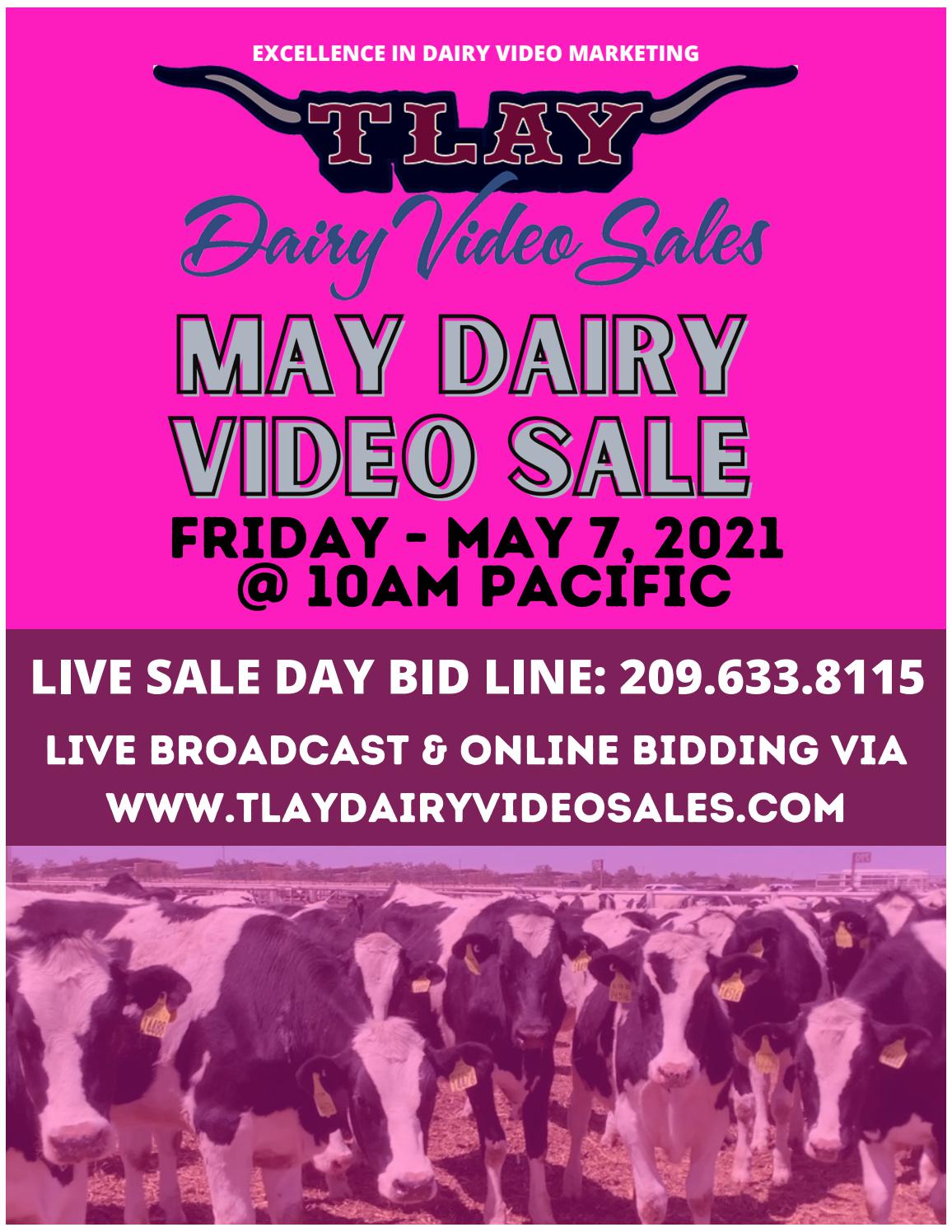 MAY 2021 TLAY DAIRY VIDEO SALE CATALOG by TURLOCK LIVESTOCK AUCTION ...