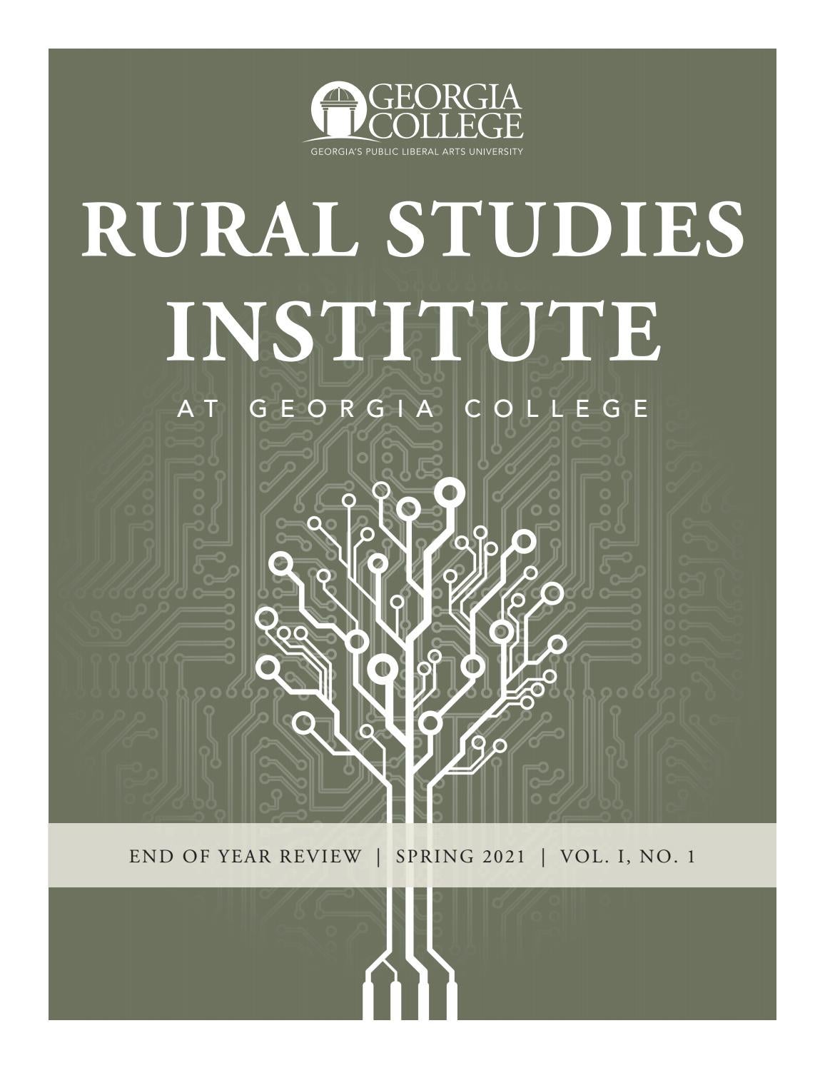 Rural Studies Institute Report — Spring 2021 by Georgia College & State ...