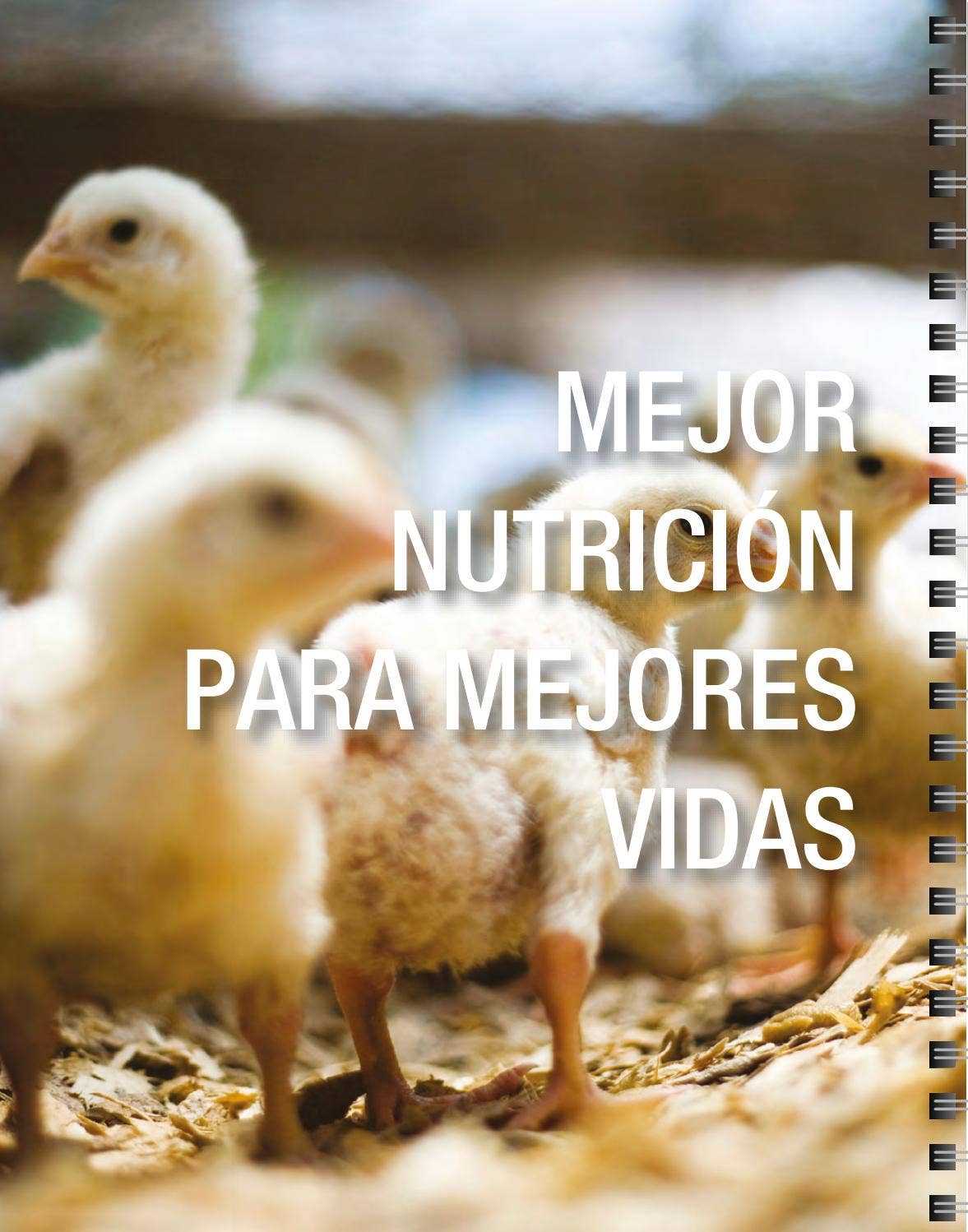 Segmentación de Clientes Cargill Versión Digital 2021 by cargillmexico ...