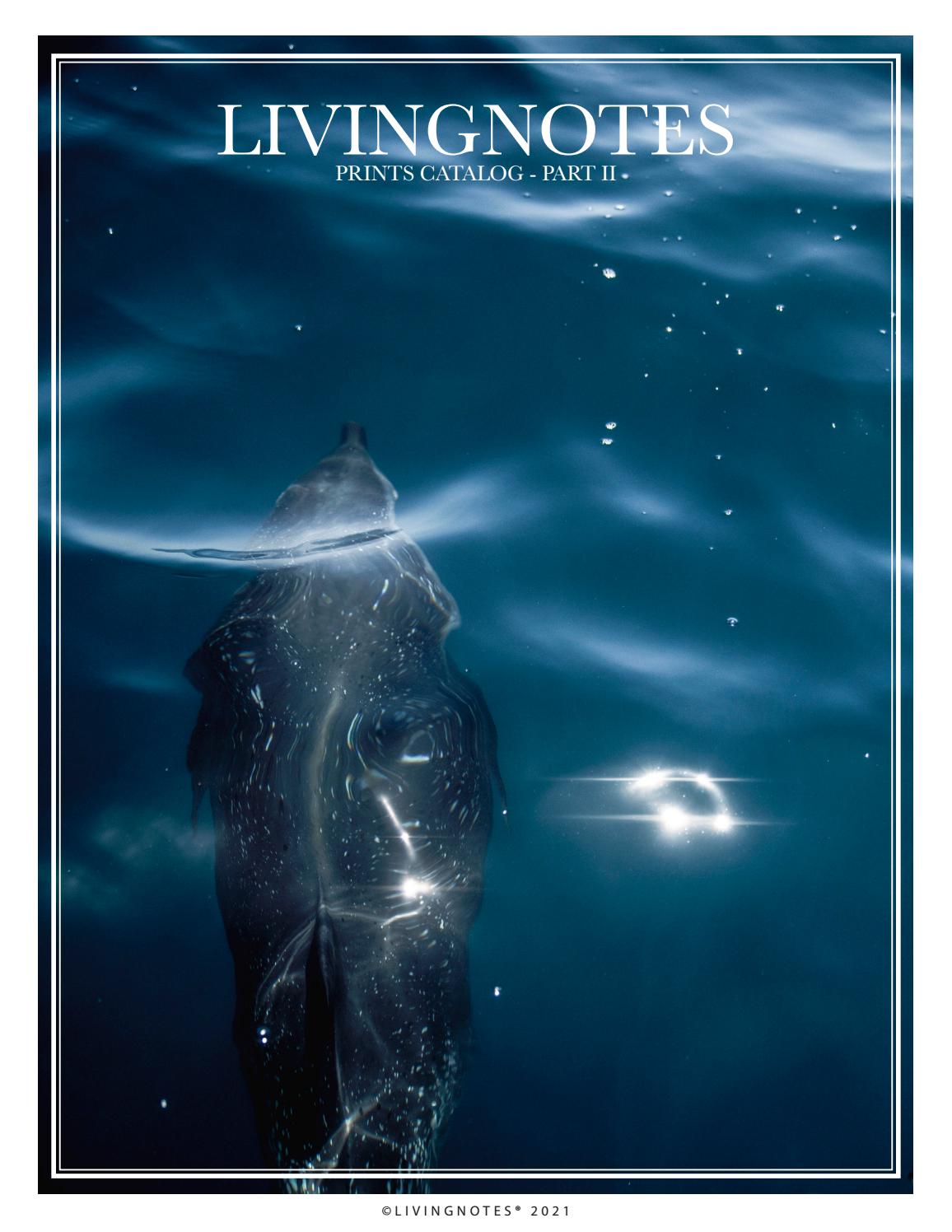 LivingNotes® - Prints Catalogue II by Origins & Destinations - Issuu