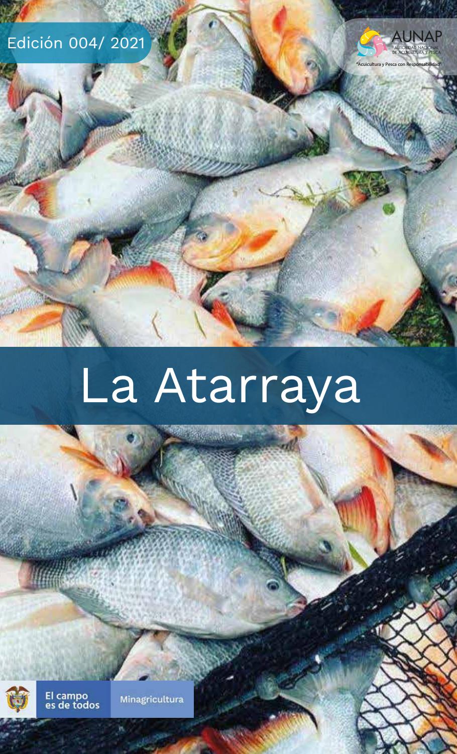 La Atarraya 004 / 2021 by comunicaciones-aunap.gov - Issuu