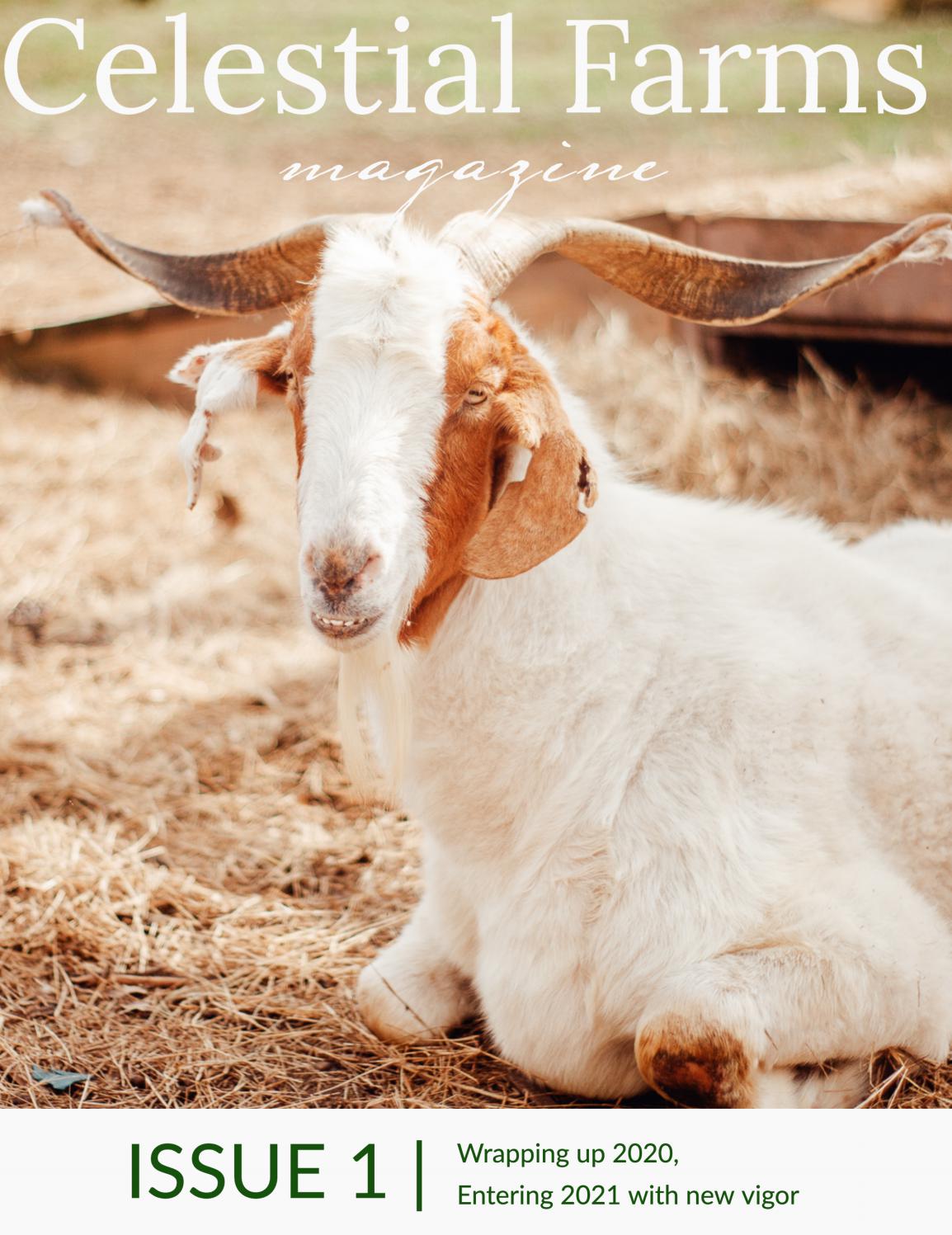 Celestial Farms Magazine | Issue 1 by Celestial Farms - Issuu