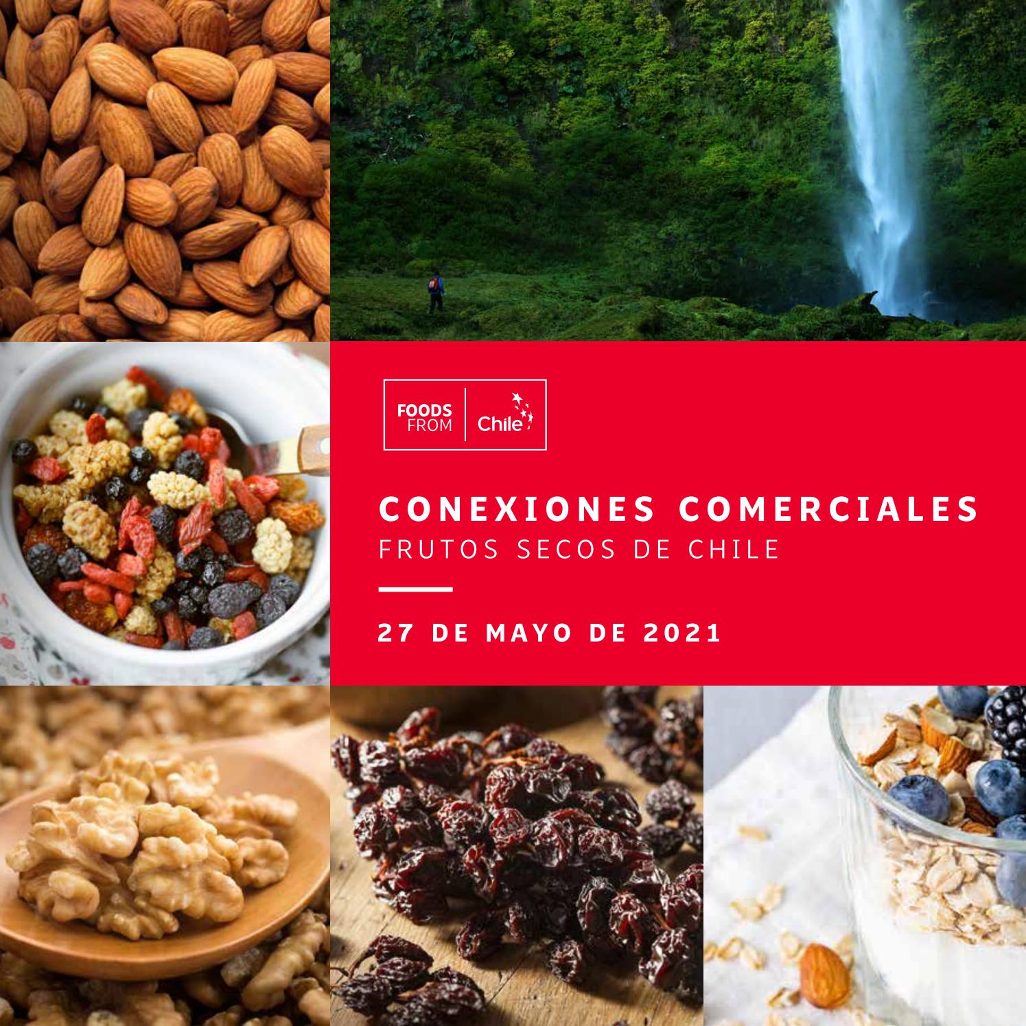 Infodesk Conexiones Comerciales by prochile3.0 - Issuu