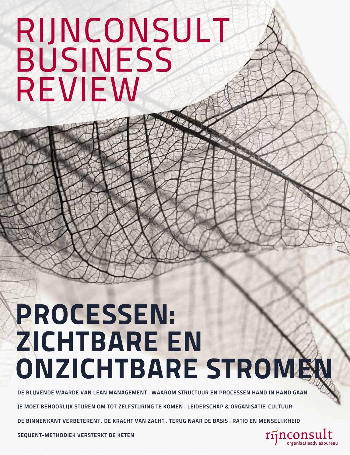 Rijnconsult Business Review Processen by Rijnconsult - Issuu