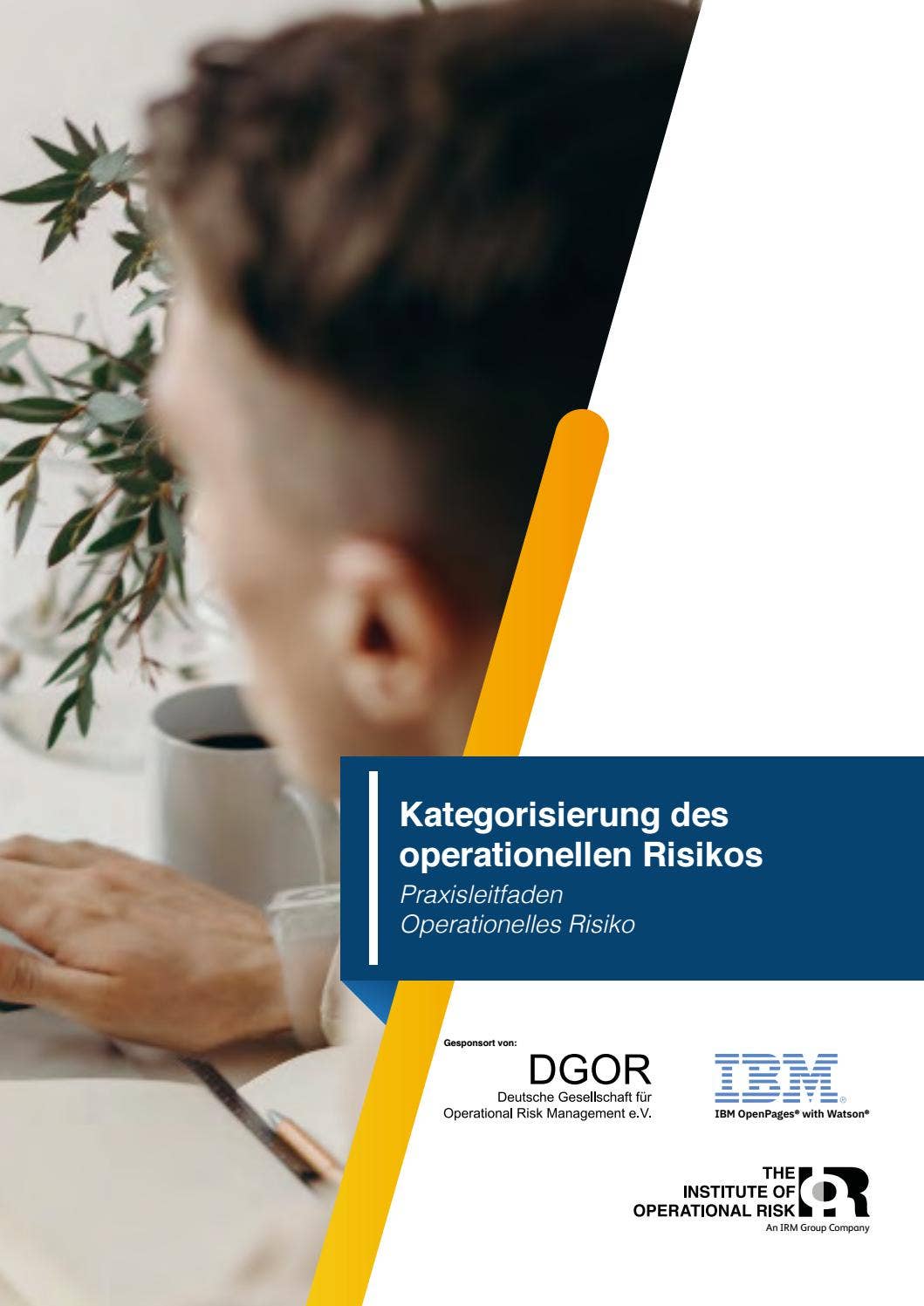 German - Kategorisierung des operationellen Risikos IOR report by ...