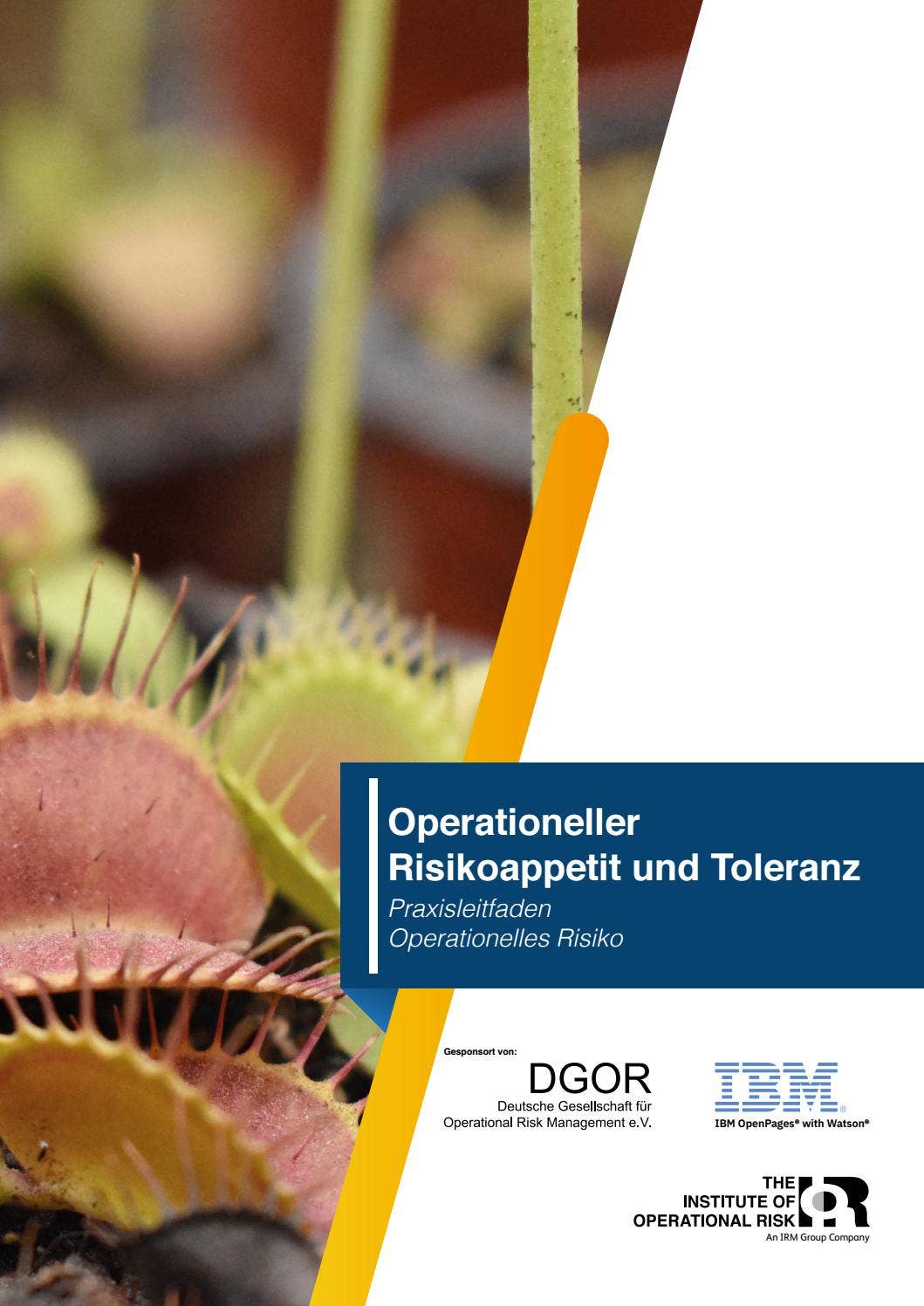 German - Operationeller Risikoappetit und Toleranz IOR report by ...