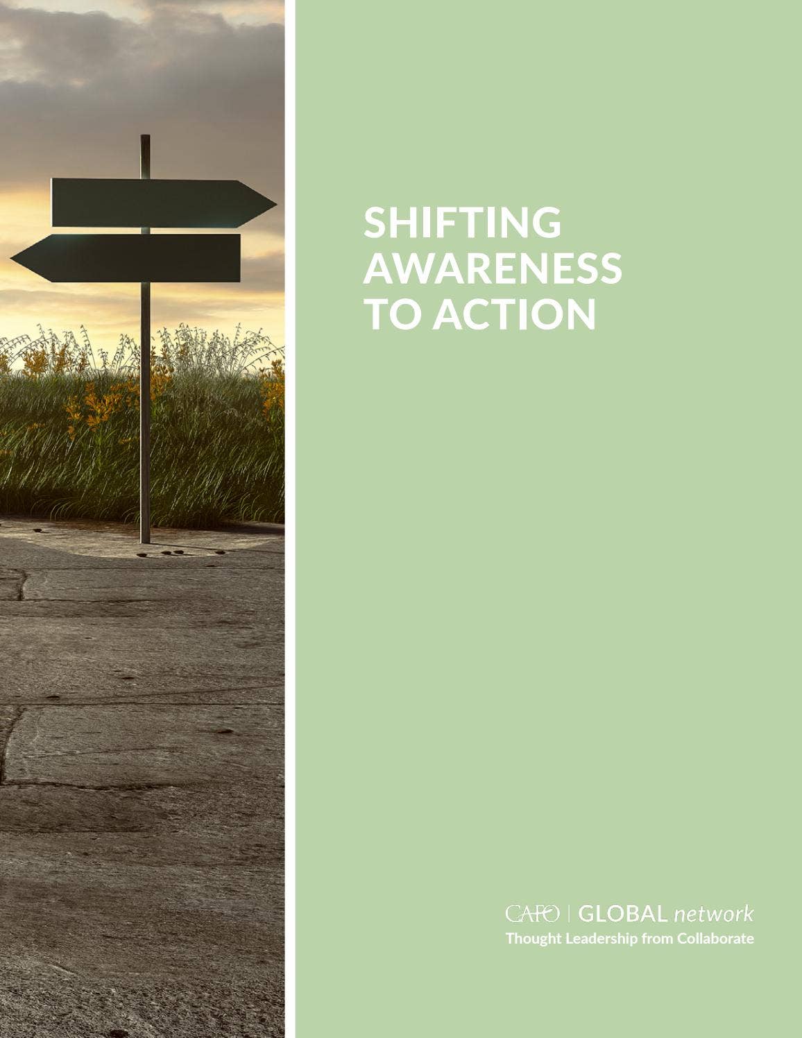 Shifting Awareness to Action by Christian Alliance for Orphans - Issuu