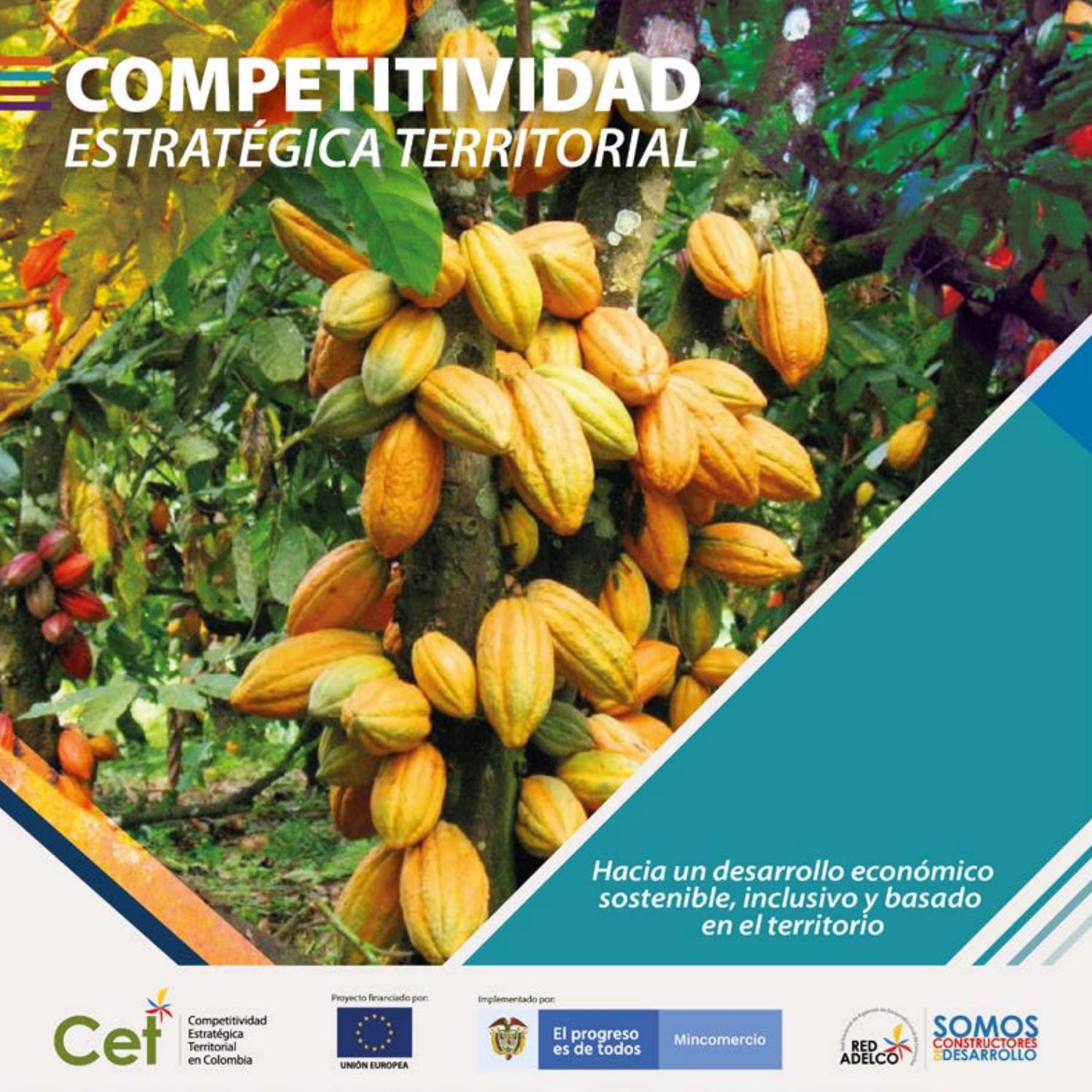 Competitividad Estratégica Territorial: hacia un desarrollo económico ...