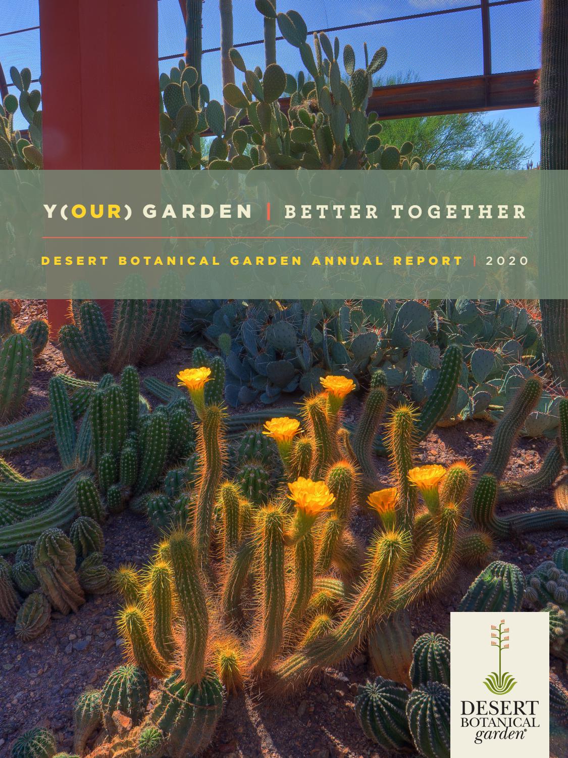 Desert Botanical Garden 2020 Annual Report by dbgphx - Issuu