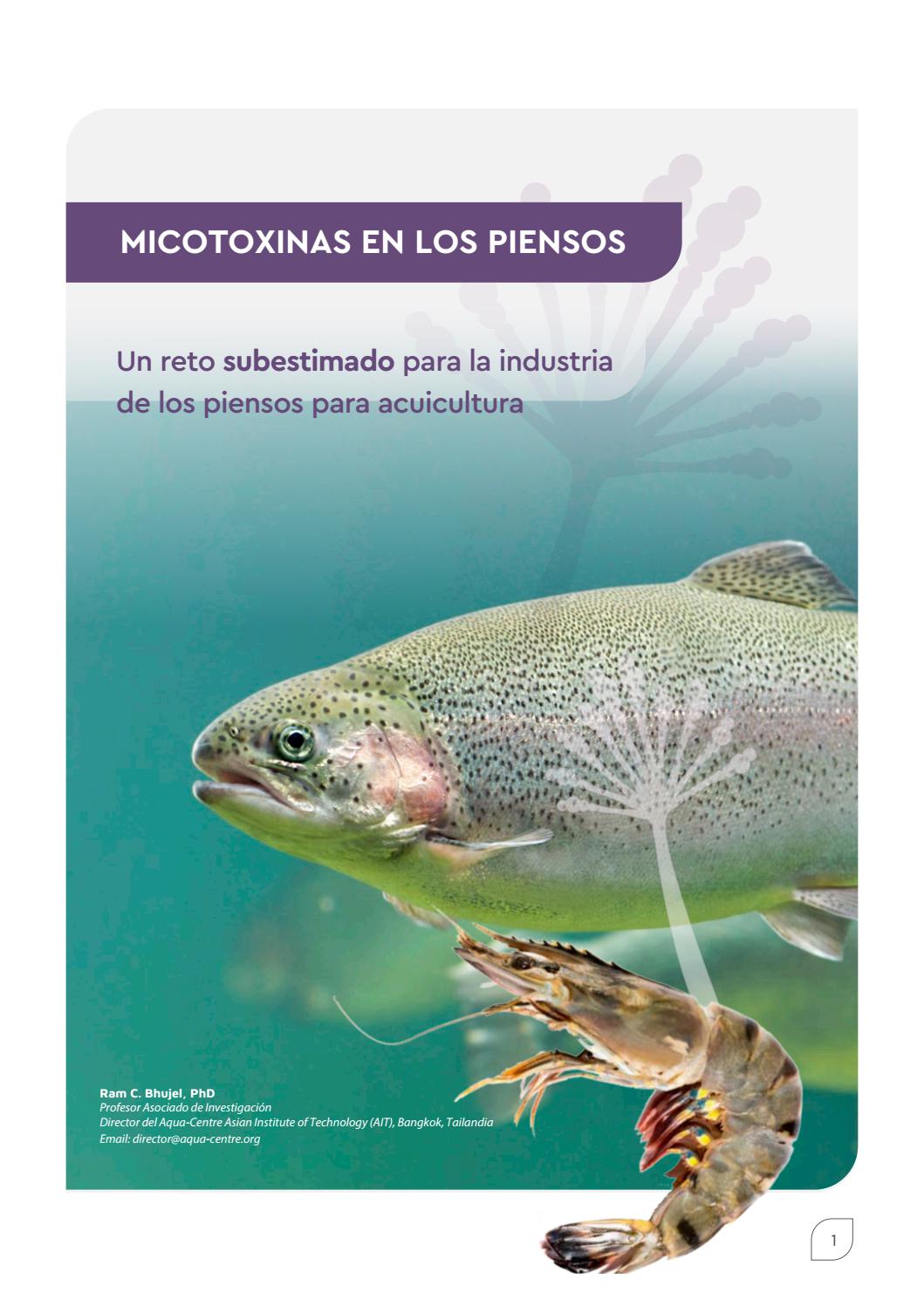 Micotoxinas en los piensos - Un reto subestimado para la industria de los piensos para ...