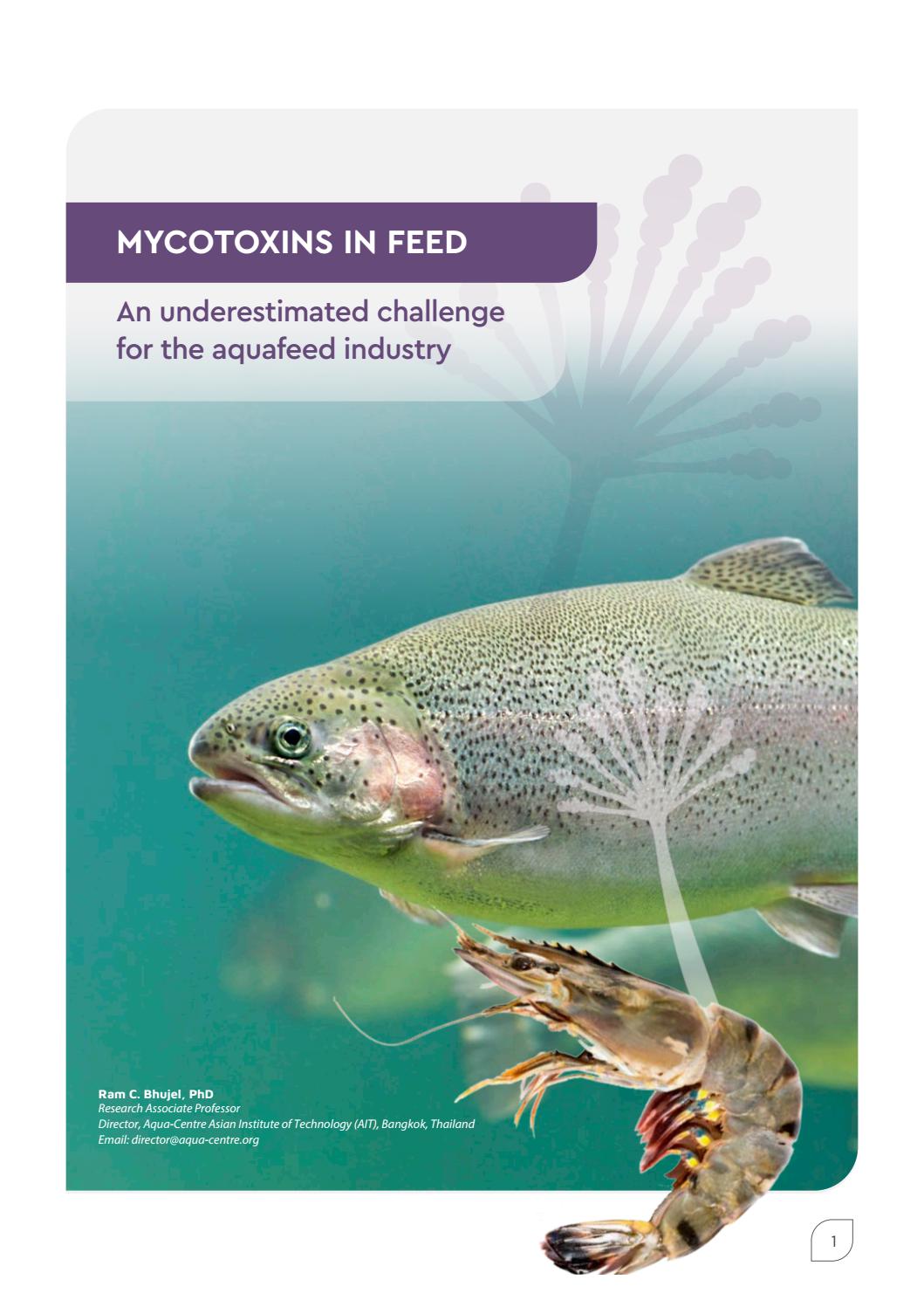 Mycotoxins in feed – An underestimated challenge for the aquafeed ...