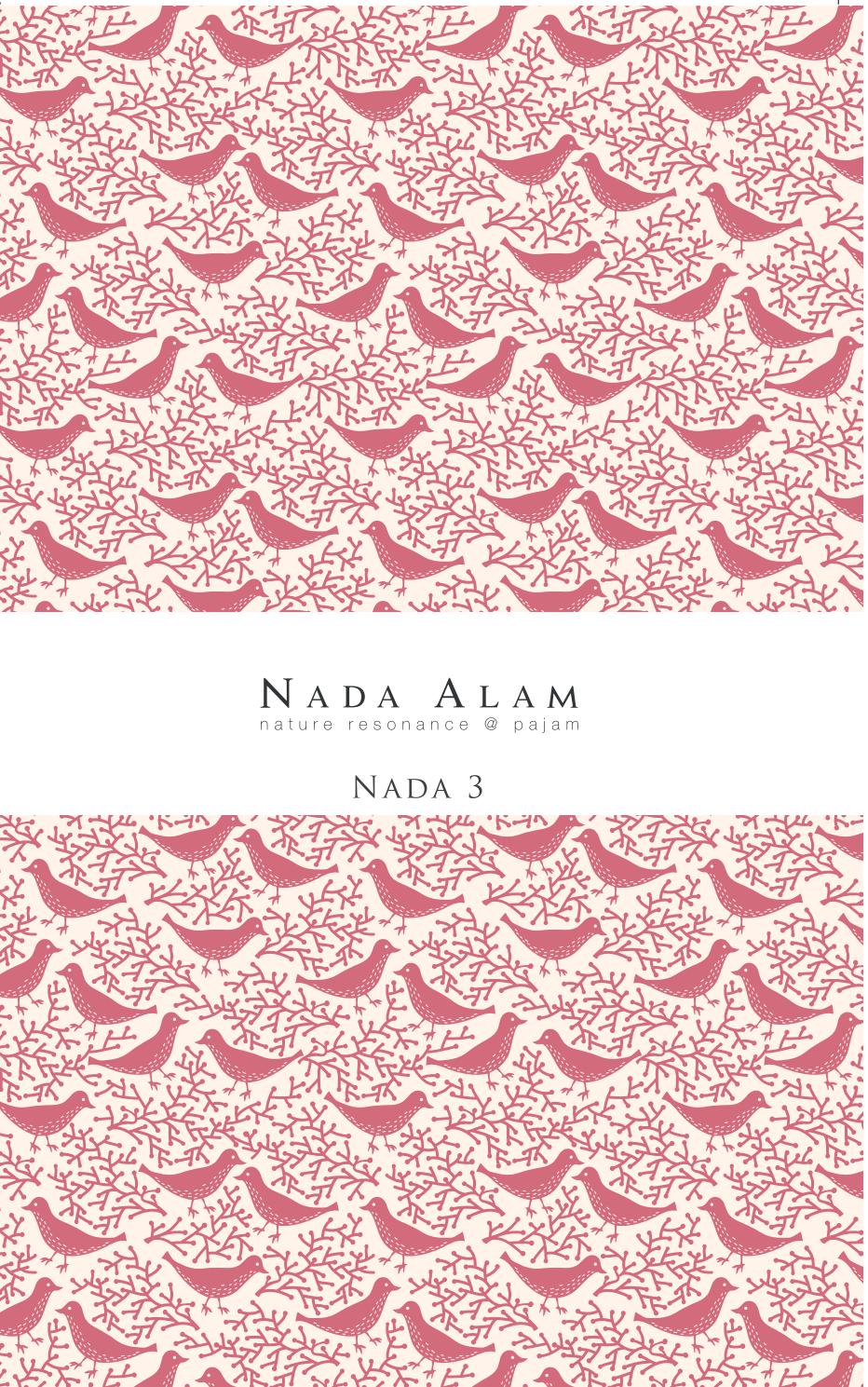 Nada 3A @ Nada Alam - Double Storey Terrace House by Seri Pajam Home ...