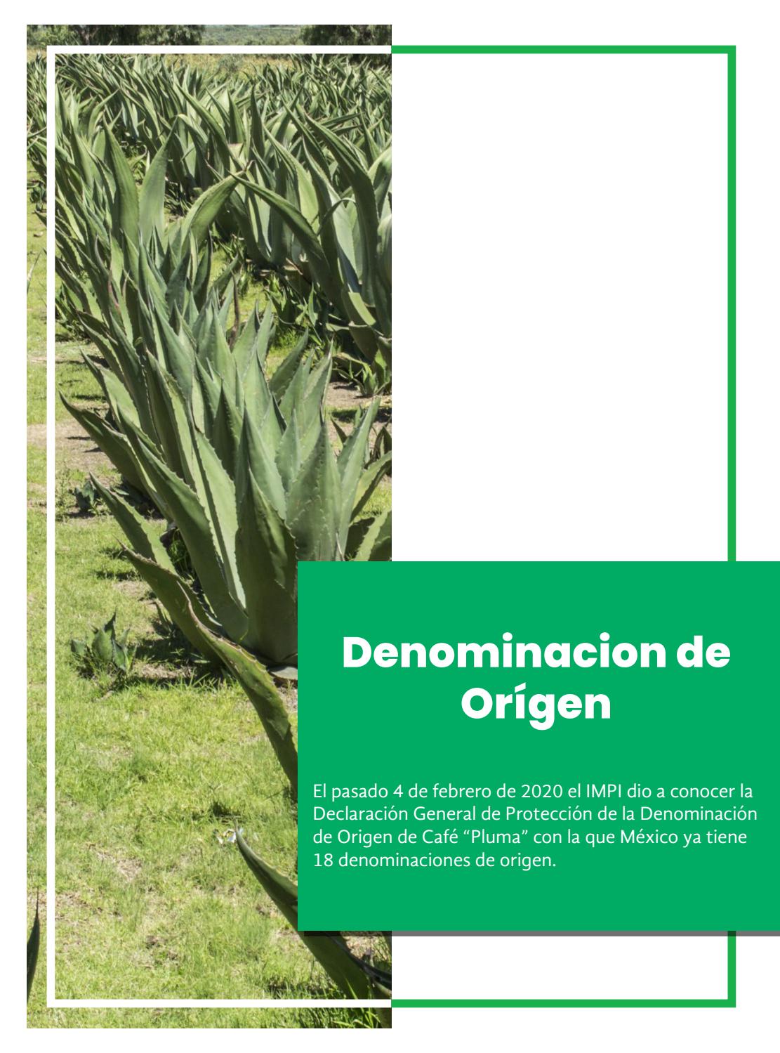 Denominación de Origen by Isaac Galicia - Issuu