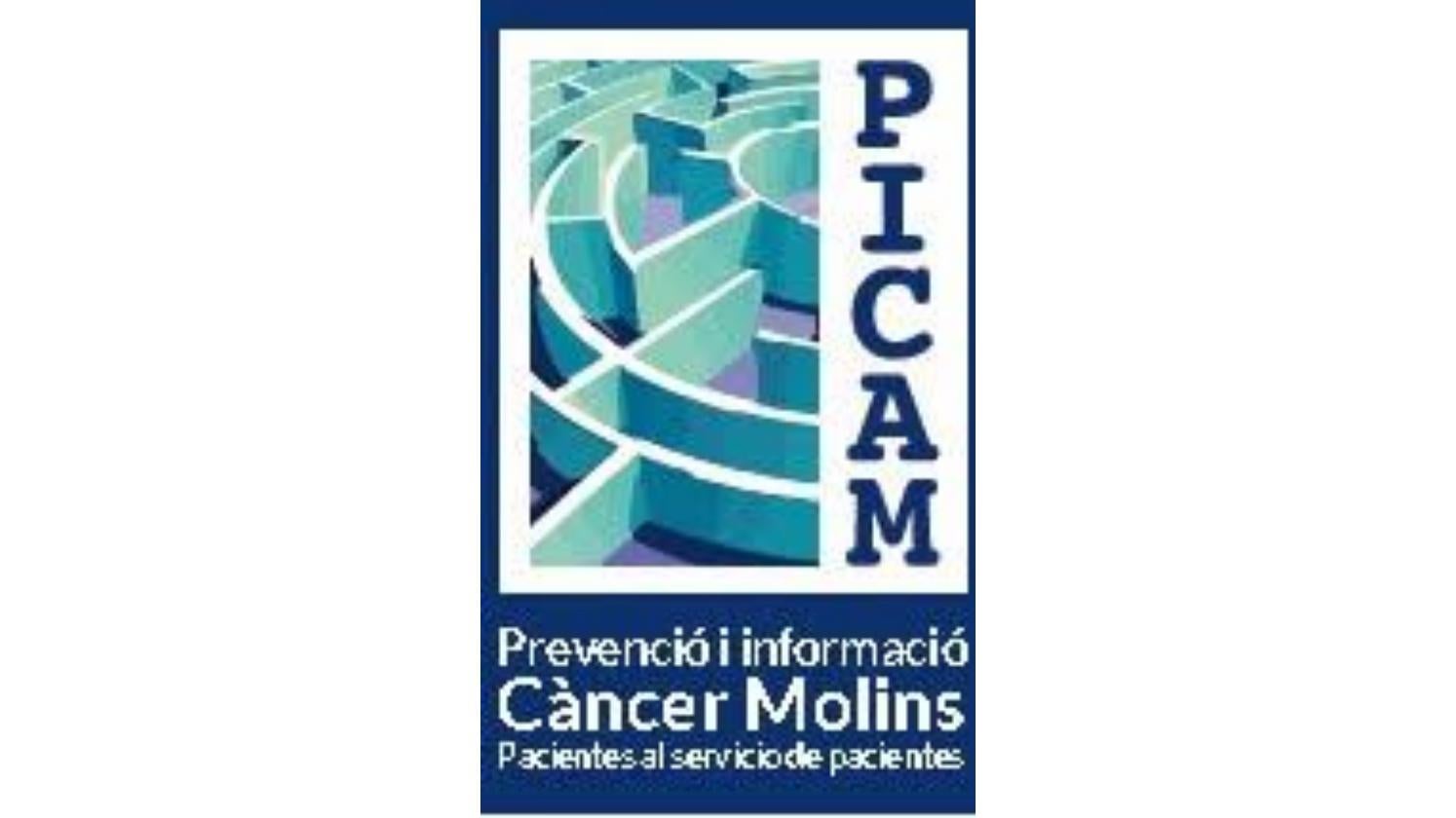 Memòria Activitats Picam 2018 by PICAM - Issuu