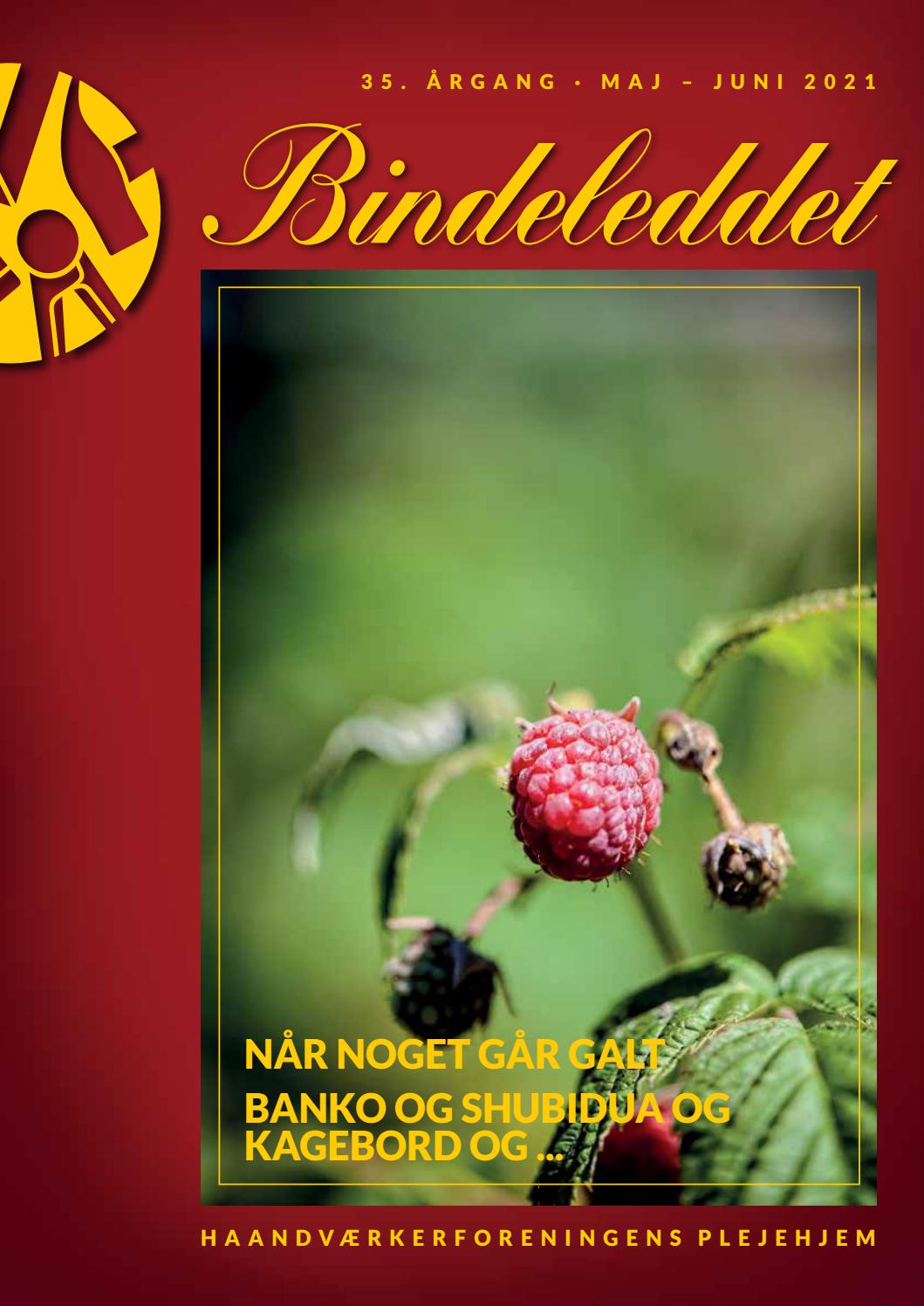 Bindeleddet 03 2021 by PadePublishing - Issuu