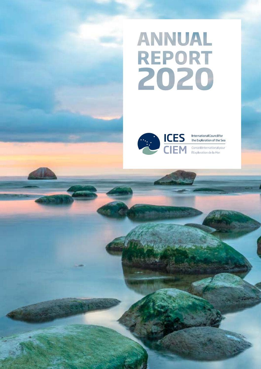 ICES Annual Report 2020 by ICES - Issuu
