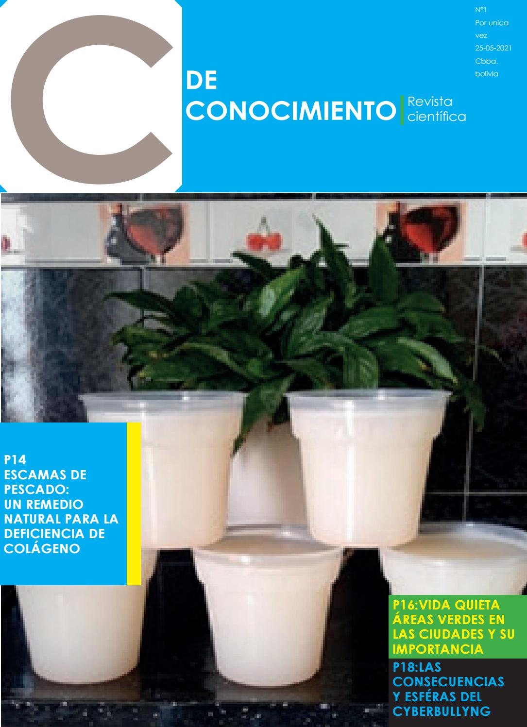 "C DE CONOCIMIENTO" by GABRIEL ANIBAL LOPEZ PEDRO - Issuu
