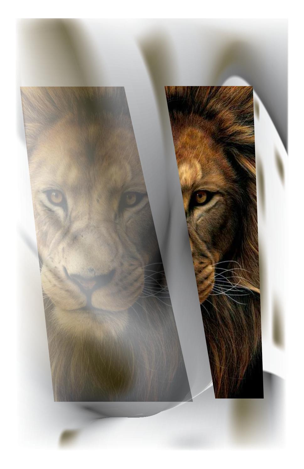 THE UNTAMED LION by kvaibhavi78 - Issuu