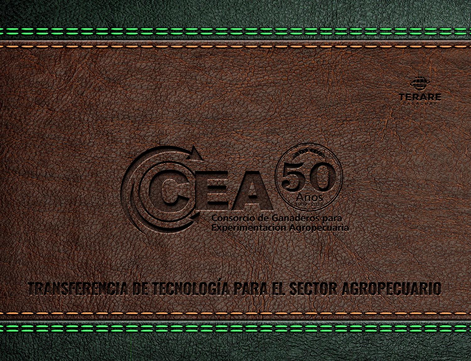 LIBRO CEA - 50 ANIVERSARIO by gerenciacea - Issuu