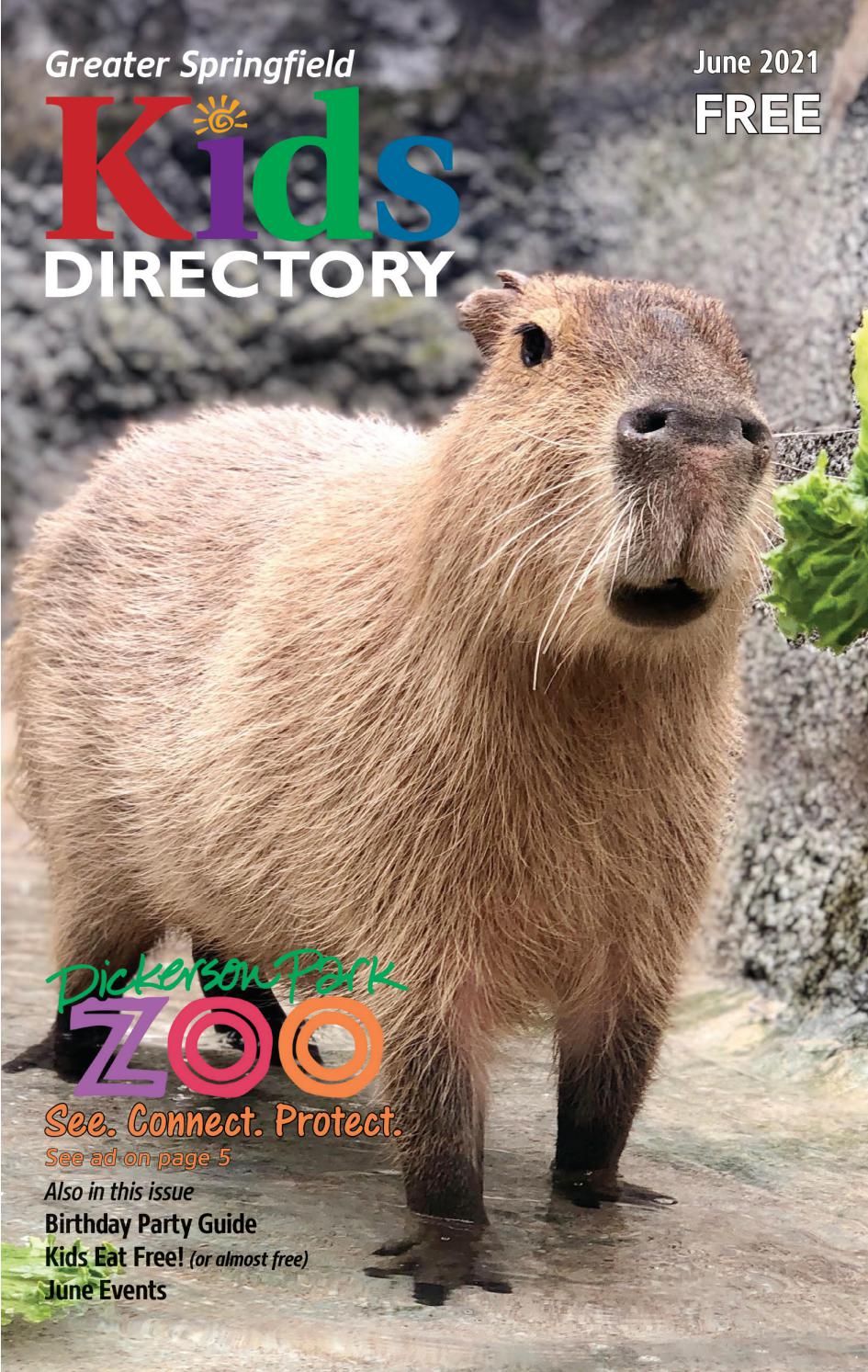 Springfield Kids Directory by Hidden Values - Issuu