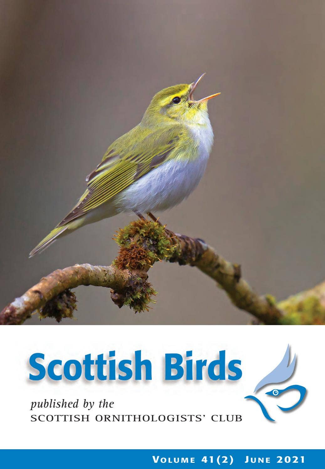 Scottish Birds 41(2) June 2021 by the-soc - Issuu