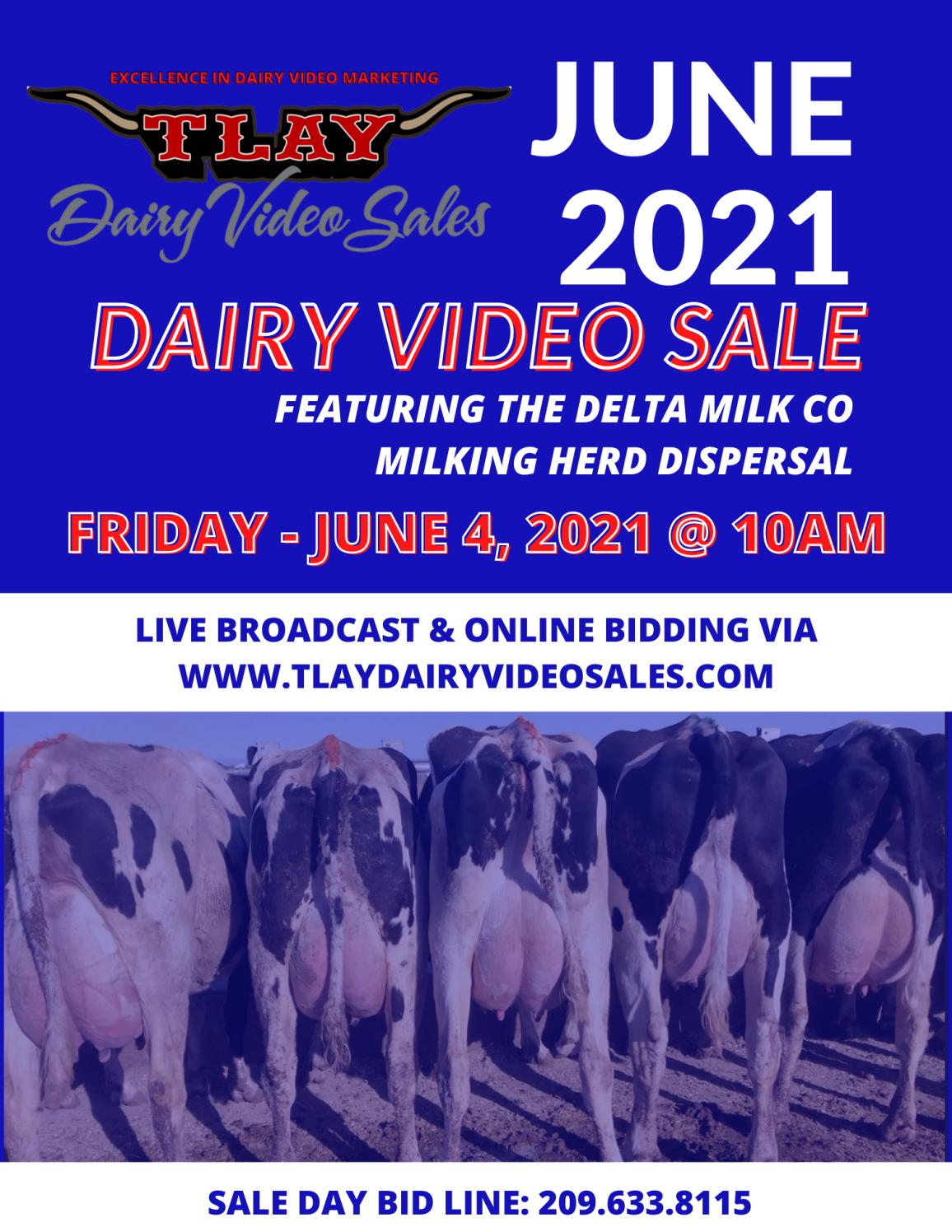 JUNE 2021 TLAY DVS CATALOG by TURLOCK LIVESTOCK AUCTION YARD - Issuu