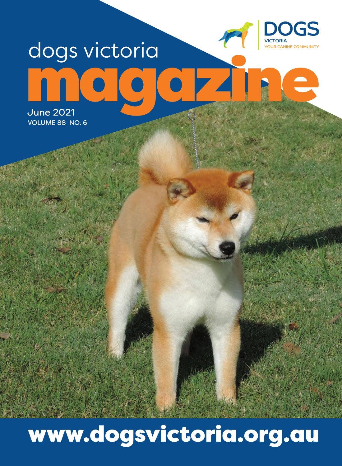 Dogs Victoria Magazine June 2021 by Dogs Victoria - Issuu