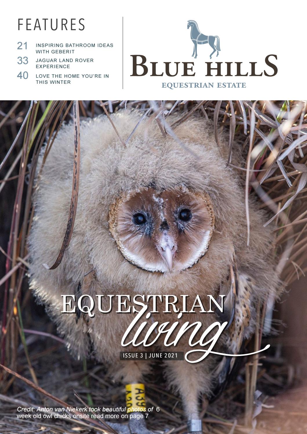 BLUE HILLS EQUESTRIAN ESTATE_ JUNE 2021 by K-Studio - Issuu