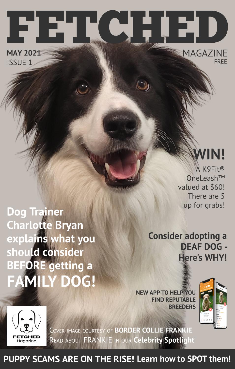 Fetched Magazine | Issue 1 | FREE Australian Dog Magazine by Fetched ...