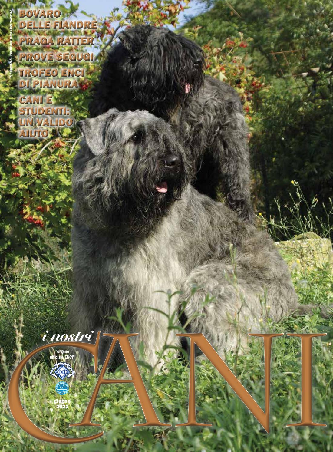 I Nostri Cani - giugno 2021 - light by ENCI - Ente Nazionale Cinofilia ...