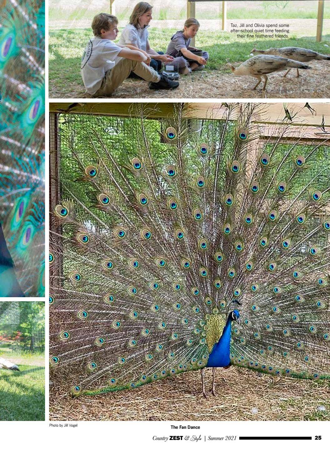 Country Zest and Style Summer 2021 Edition by Country Zest & Style - Issuu