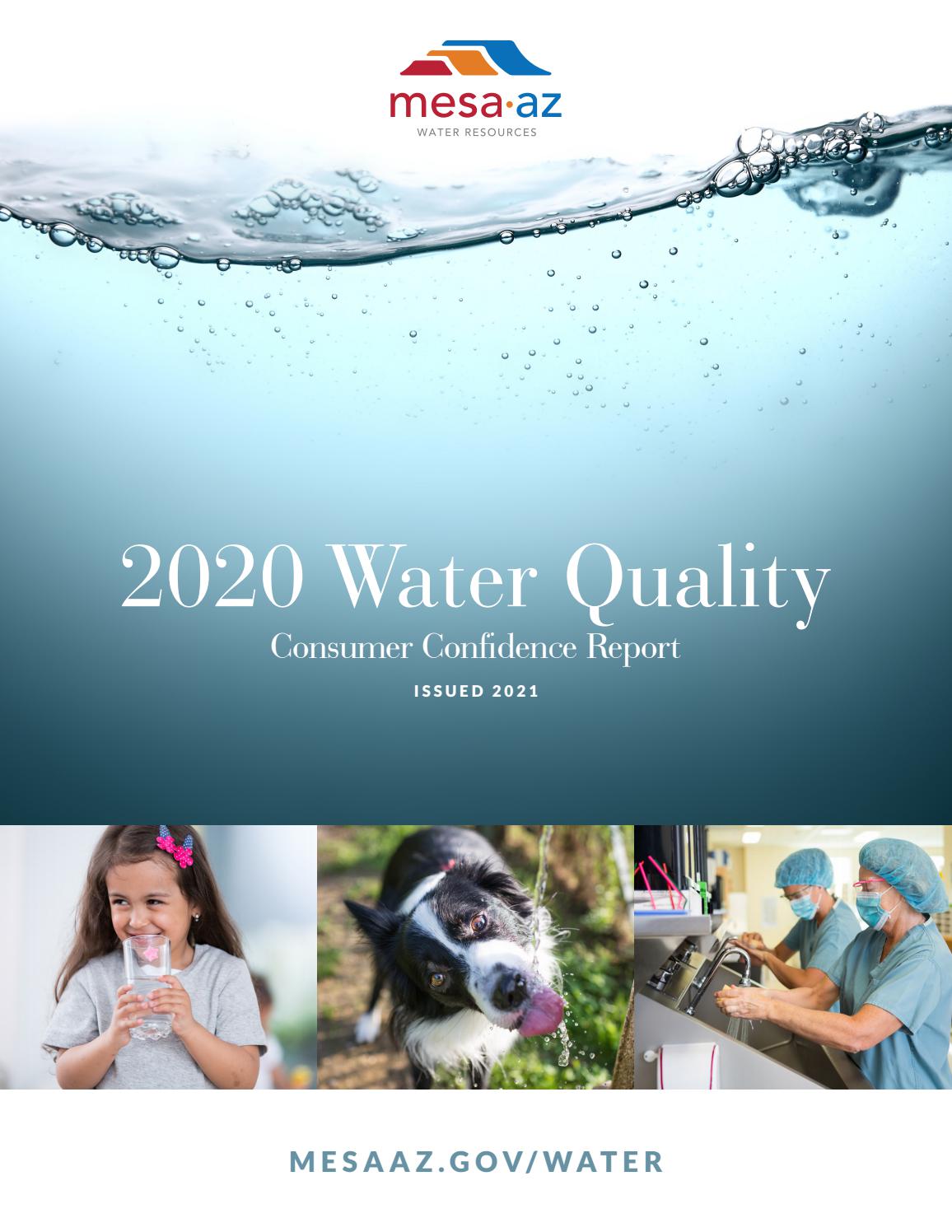 City of Mesa Water Resources 2020 Water Quality Consumer Confidence ...