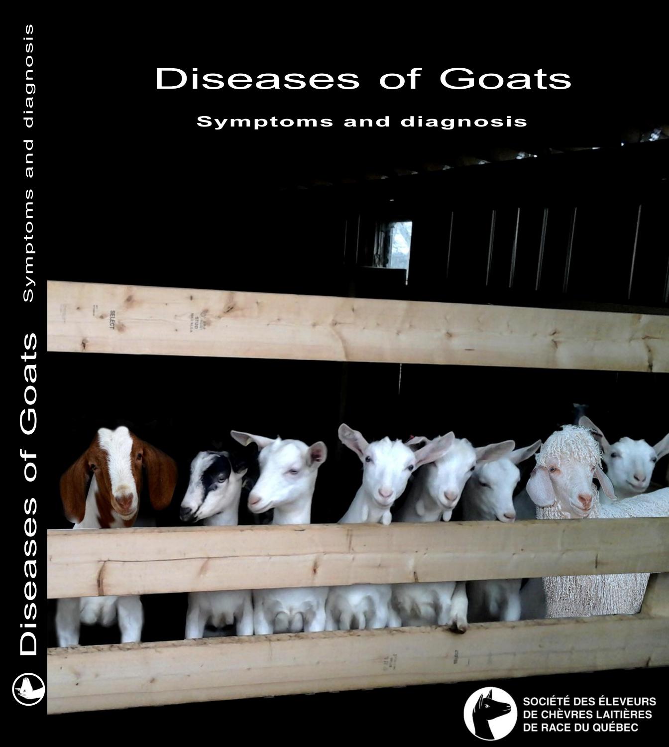Diseases of Goats - Symptoms and diagnosis by CRAAQ - Issuu