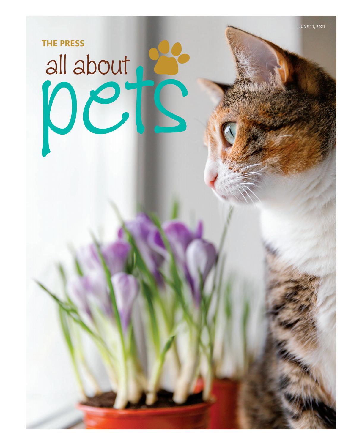 All About Pets 06.11.2021 by Brentwood Press & Publishing - Issuu