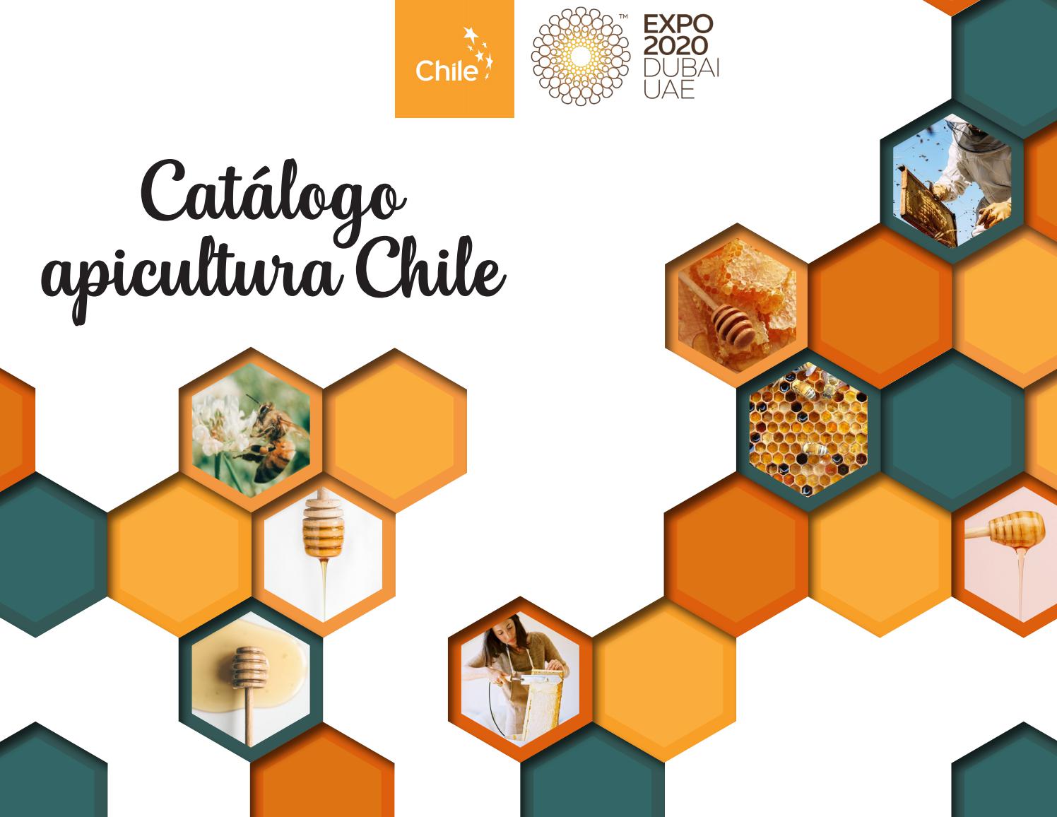 Apicultura en Chile by Fabiana Díaz - Issuu