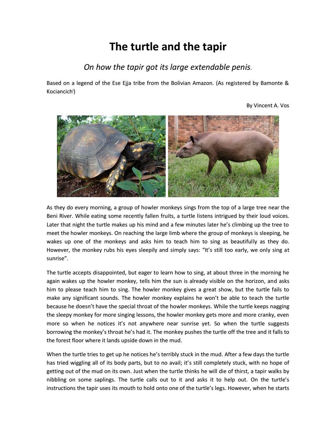 The Turtle and the Tapir by Vincent Vos - Issuu