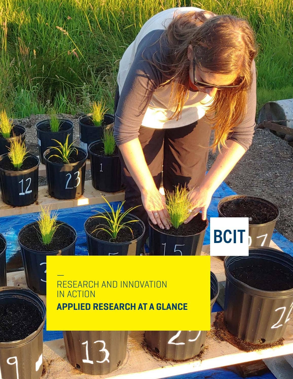 BCIT Applied Research at a Glance by BCIT - Issuu