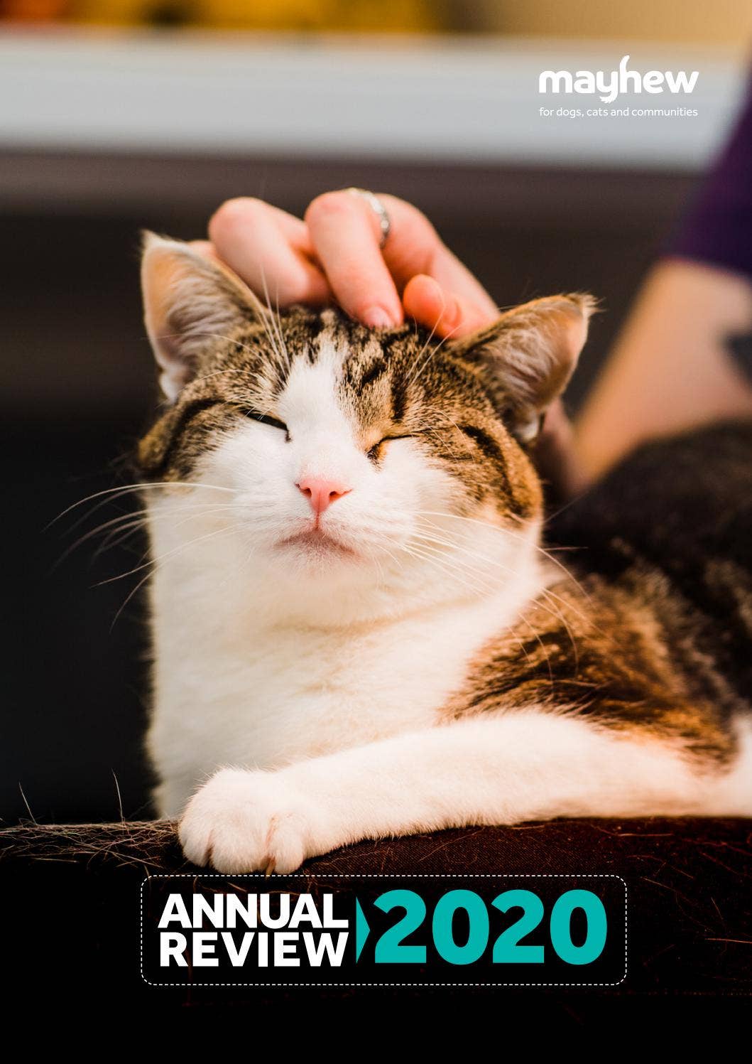 Mayhew Annual Review 2020 by mayhewanimalhome - Issuu