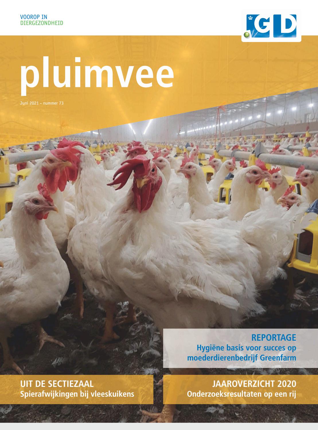 Pluimvee 73 - juni 2021 by Royal GD - Issuu
