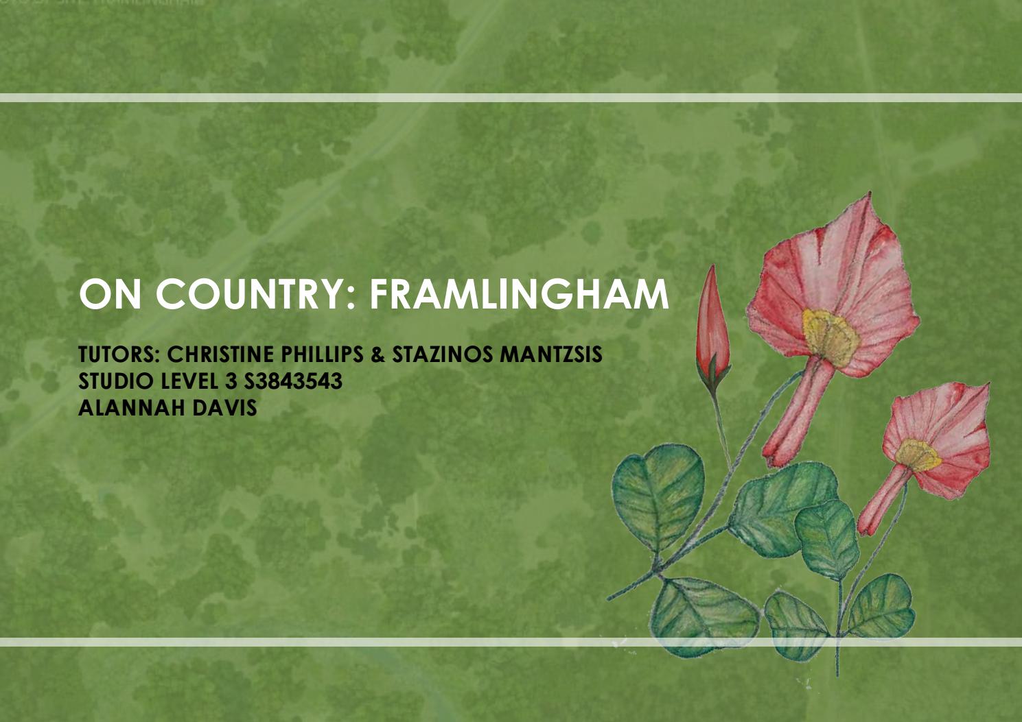 On Country: Framlingham, Sem 1, 2021: Alannah Davis by RMIT ...